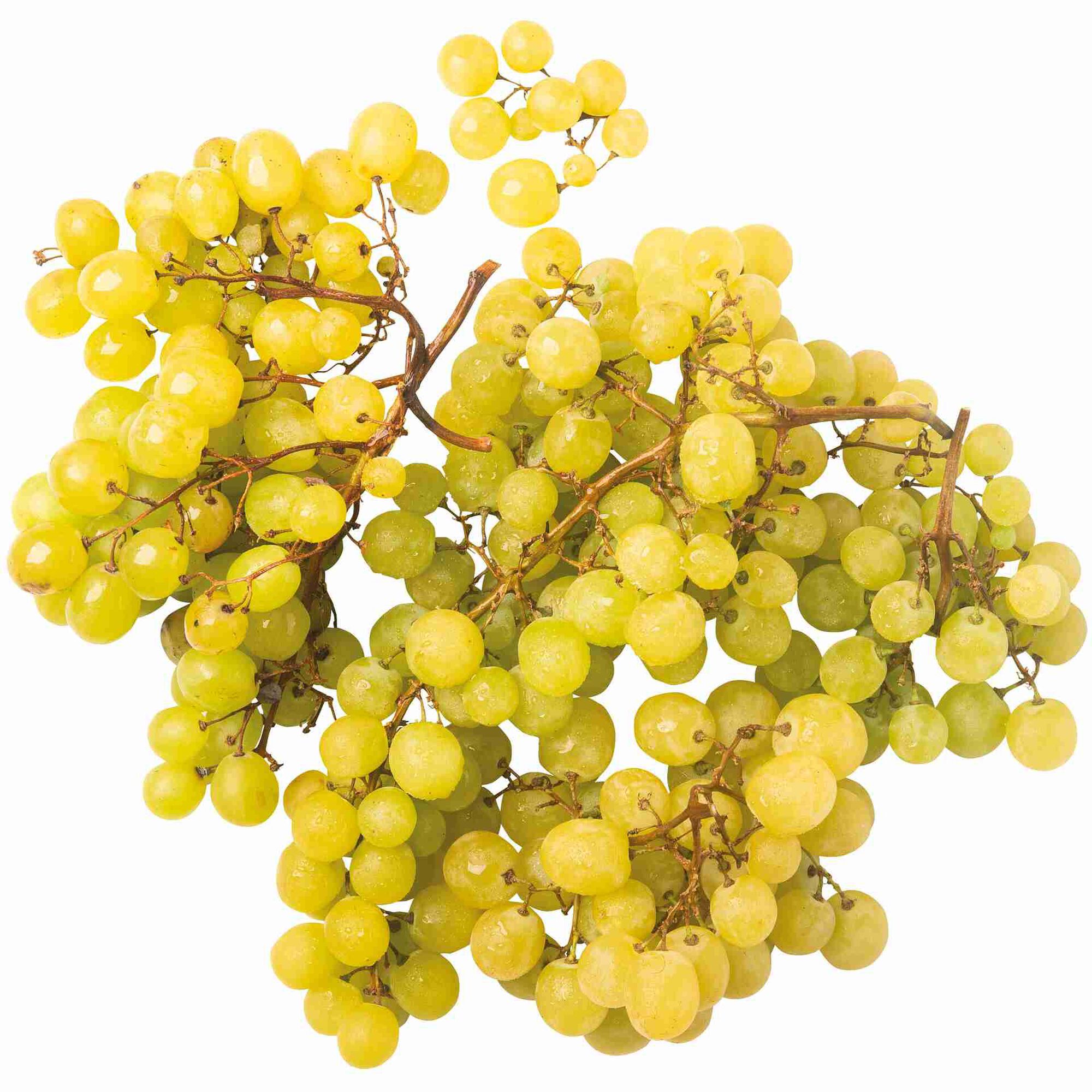Uva Branca sem Grainha - Quant. Mínima = 800 gr - Vale da Rosa ...