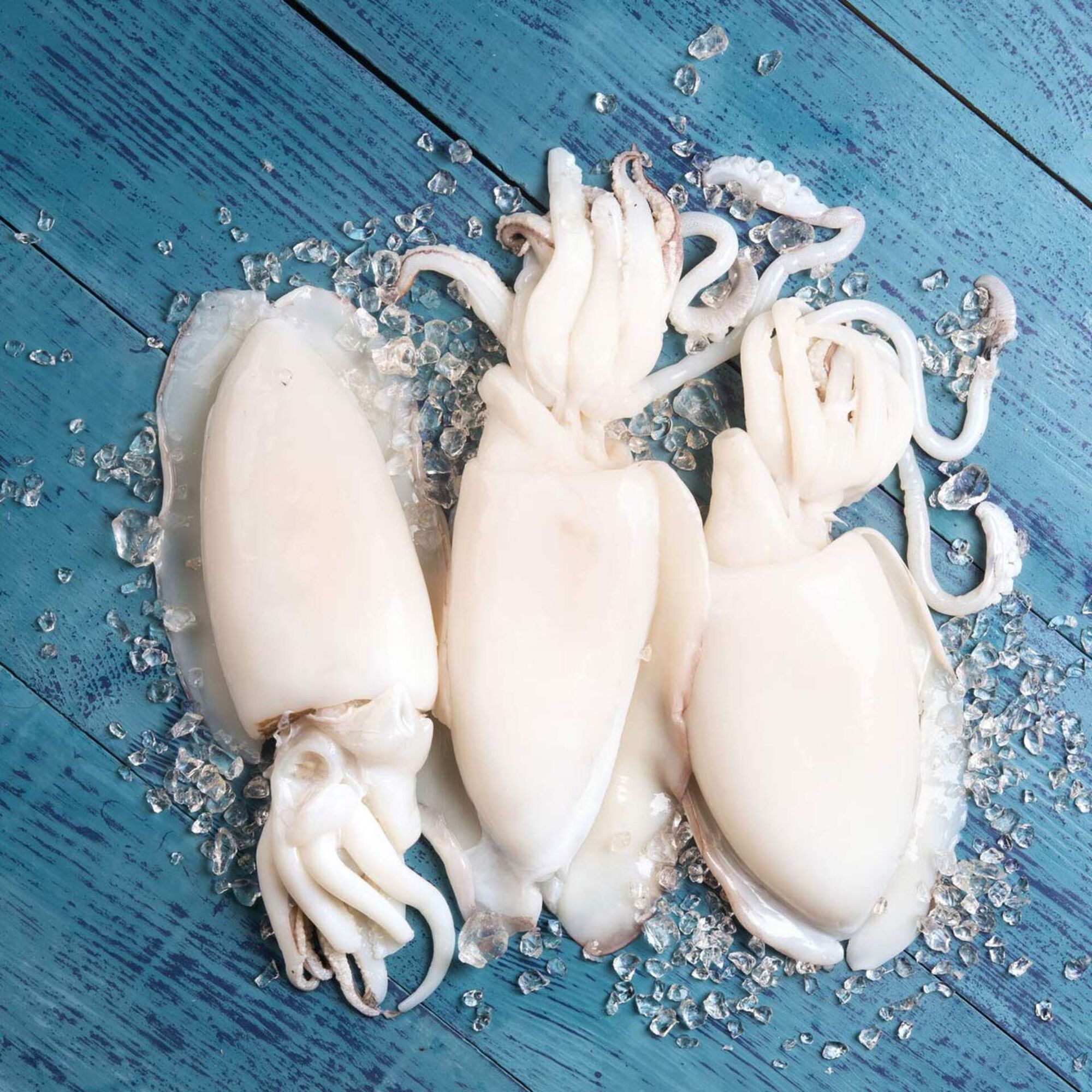 Choco Limpo Higienizado Congelado - Quant. Mínima = 1 kg | Continente ...