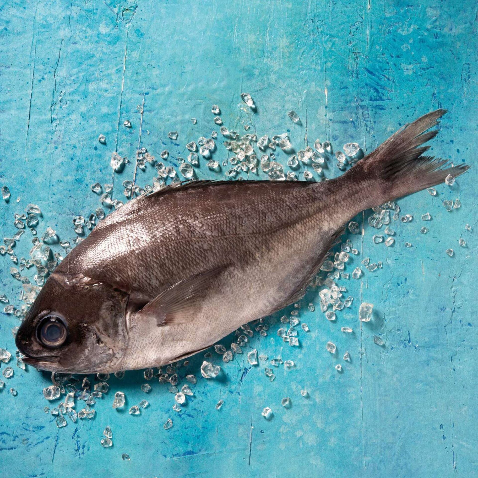 Liro Imperial - Quant. Mínima = 3 kg - Continente | Continente Online