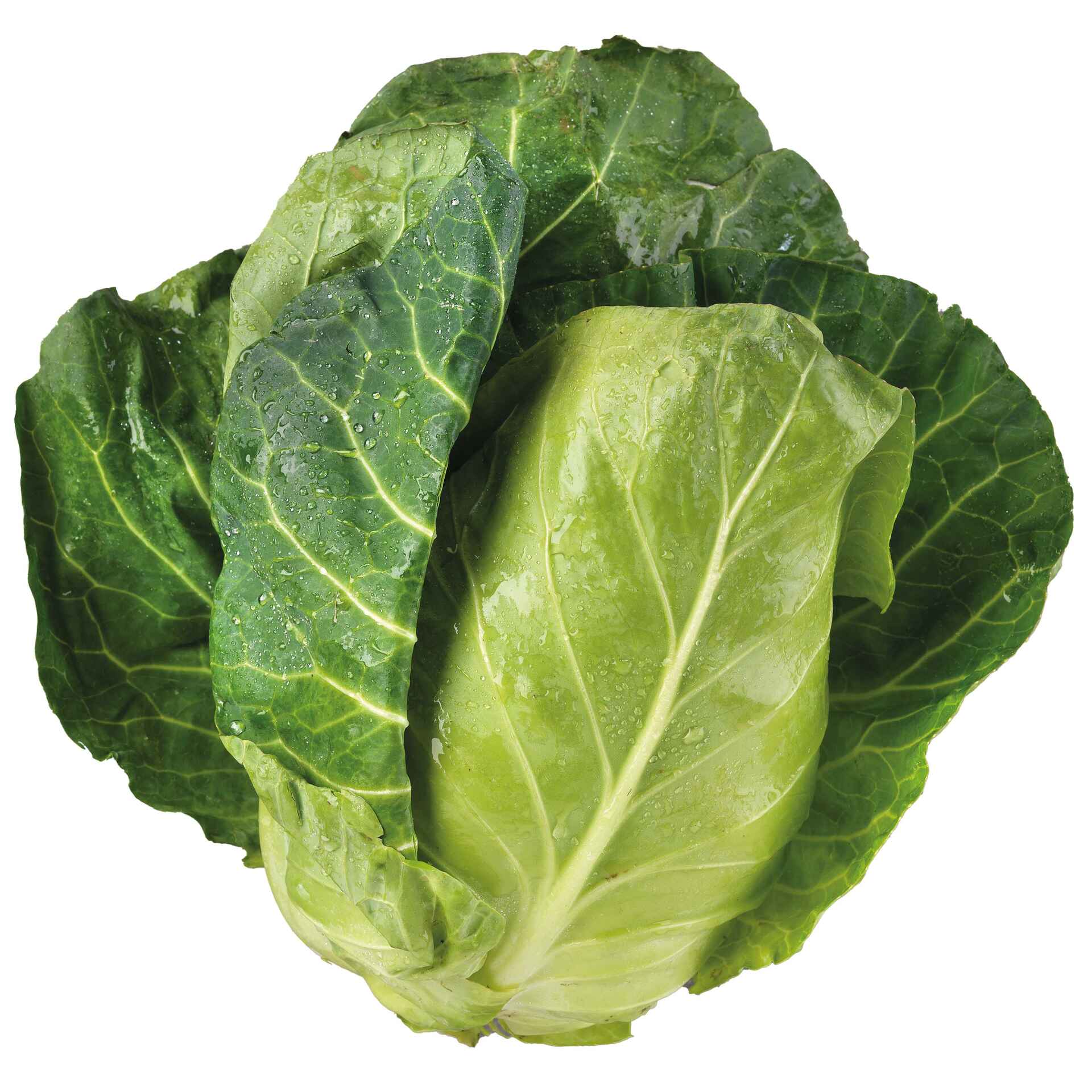 Couve Coração Continente - Quant. Mínima = 1,1 kg (1 un) | Continente ...