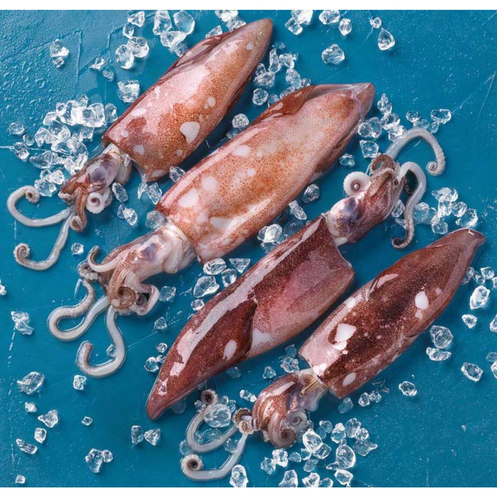 Lula Descongelada - Quant. Mínima = 400 gr (2 un) | Continente Online