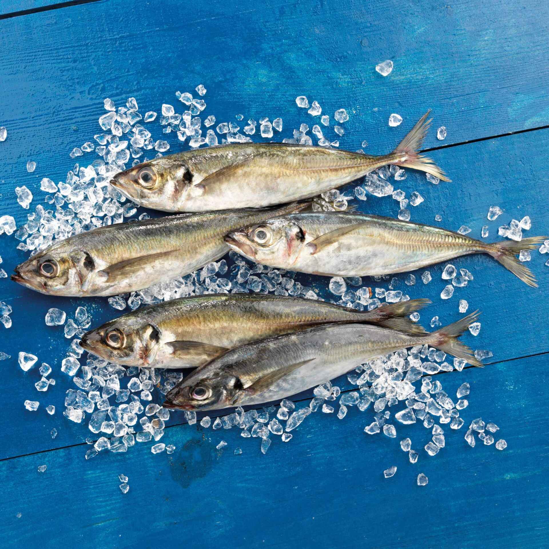 Carapau Médio Fresco - Quant. Mínima = 600 gr (2 un) | Continente Online