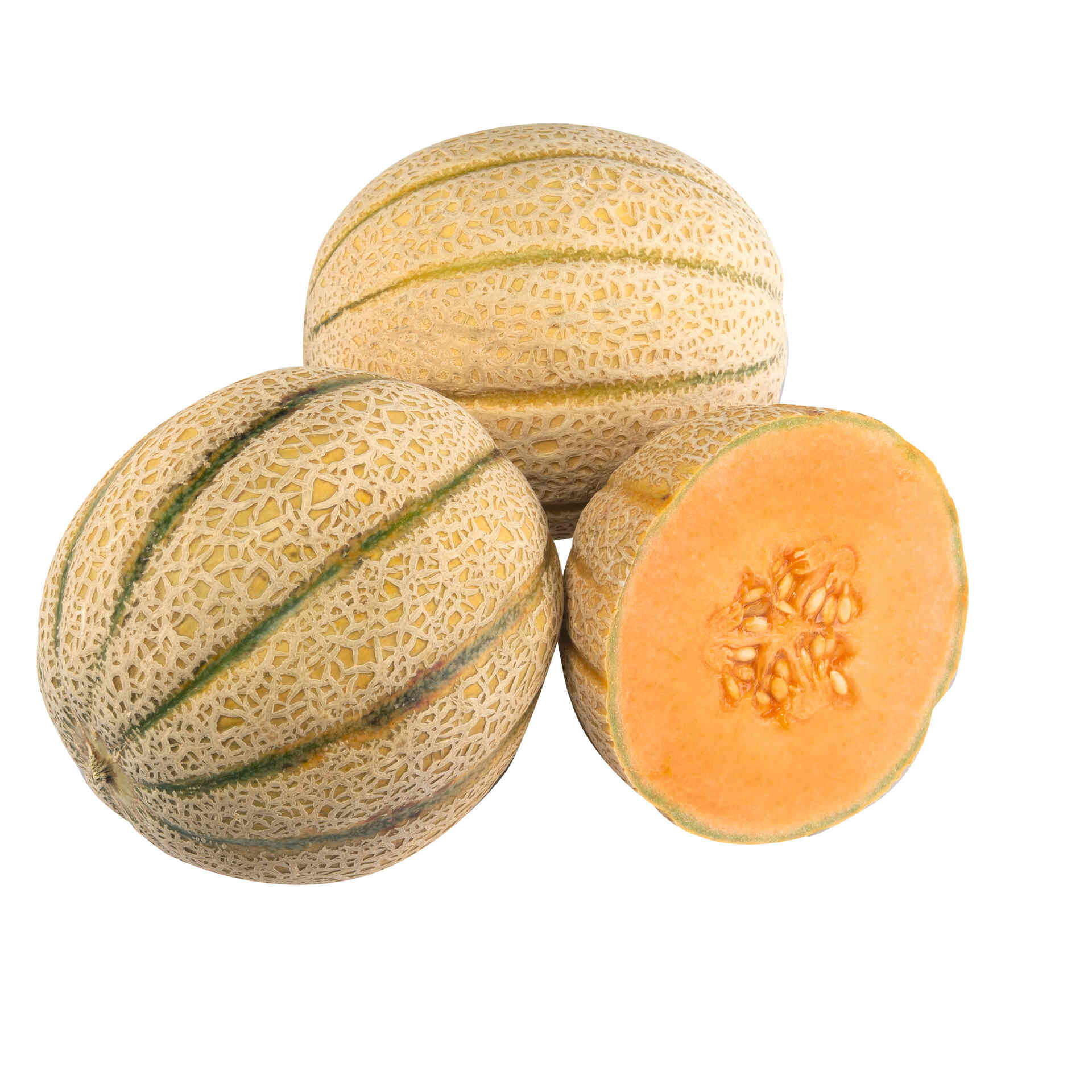 Meloa Cantaloupe