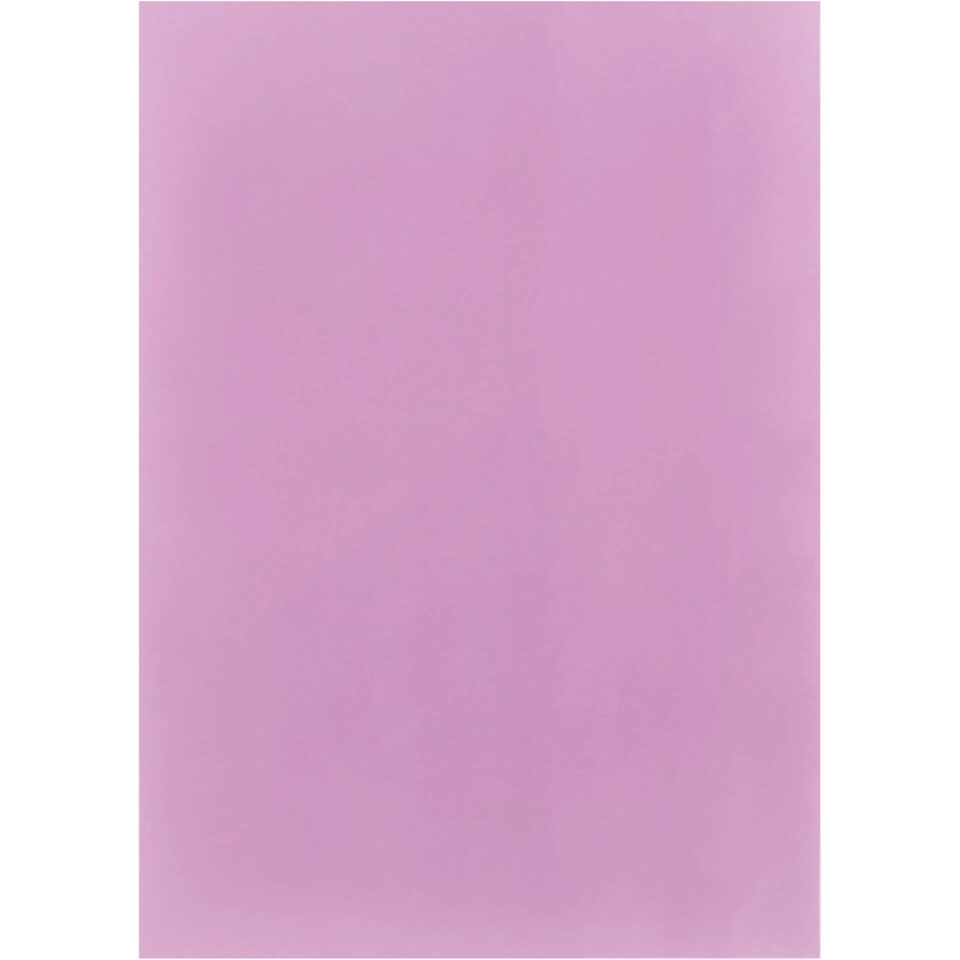 Cartolina Violeta 50x70cm Paperpoint | Continente Online