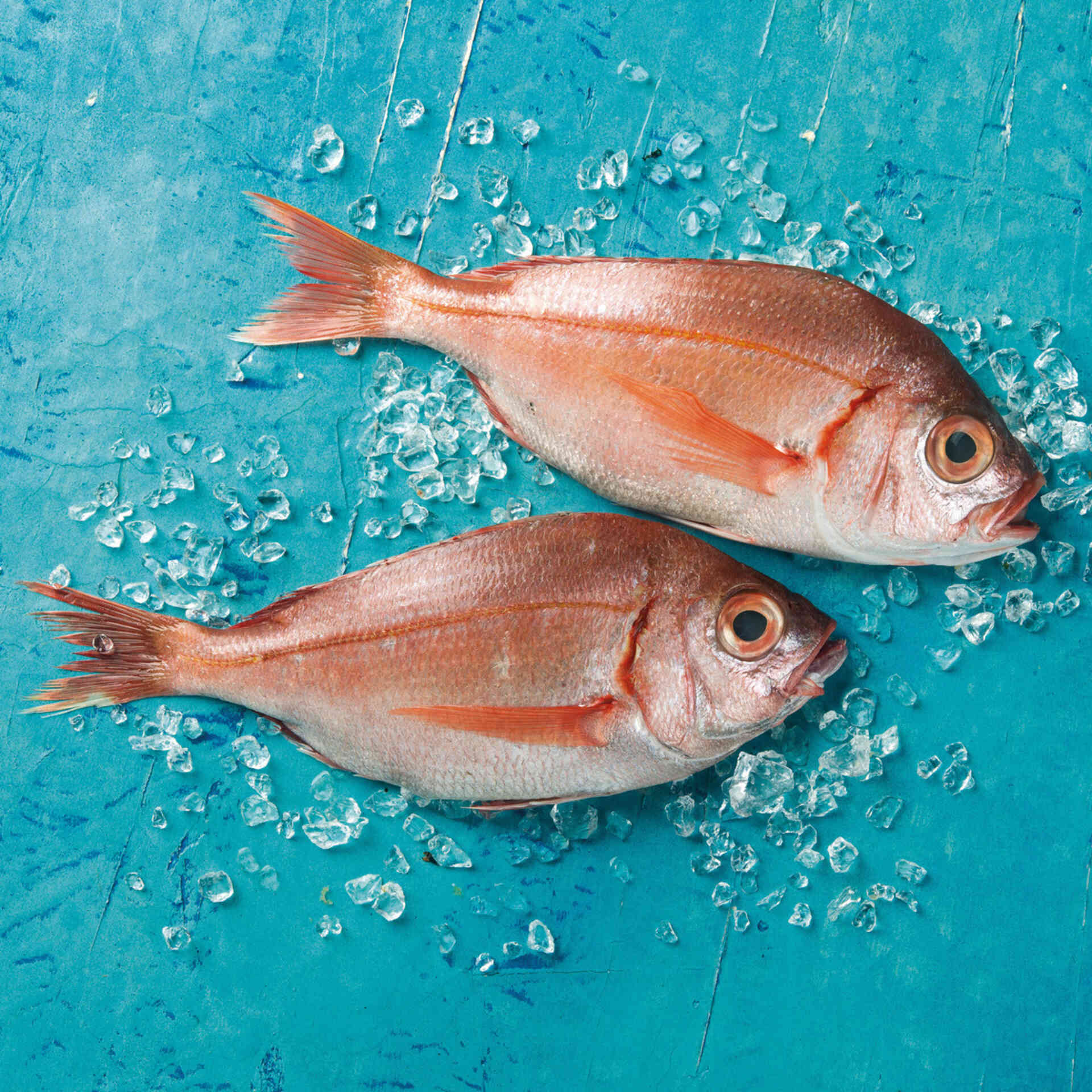 Cachucho Fresco - Quant. Mínima = 430 gr (1 un) | Continente Online