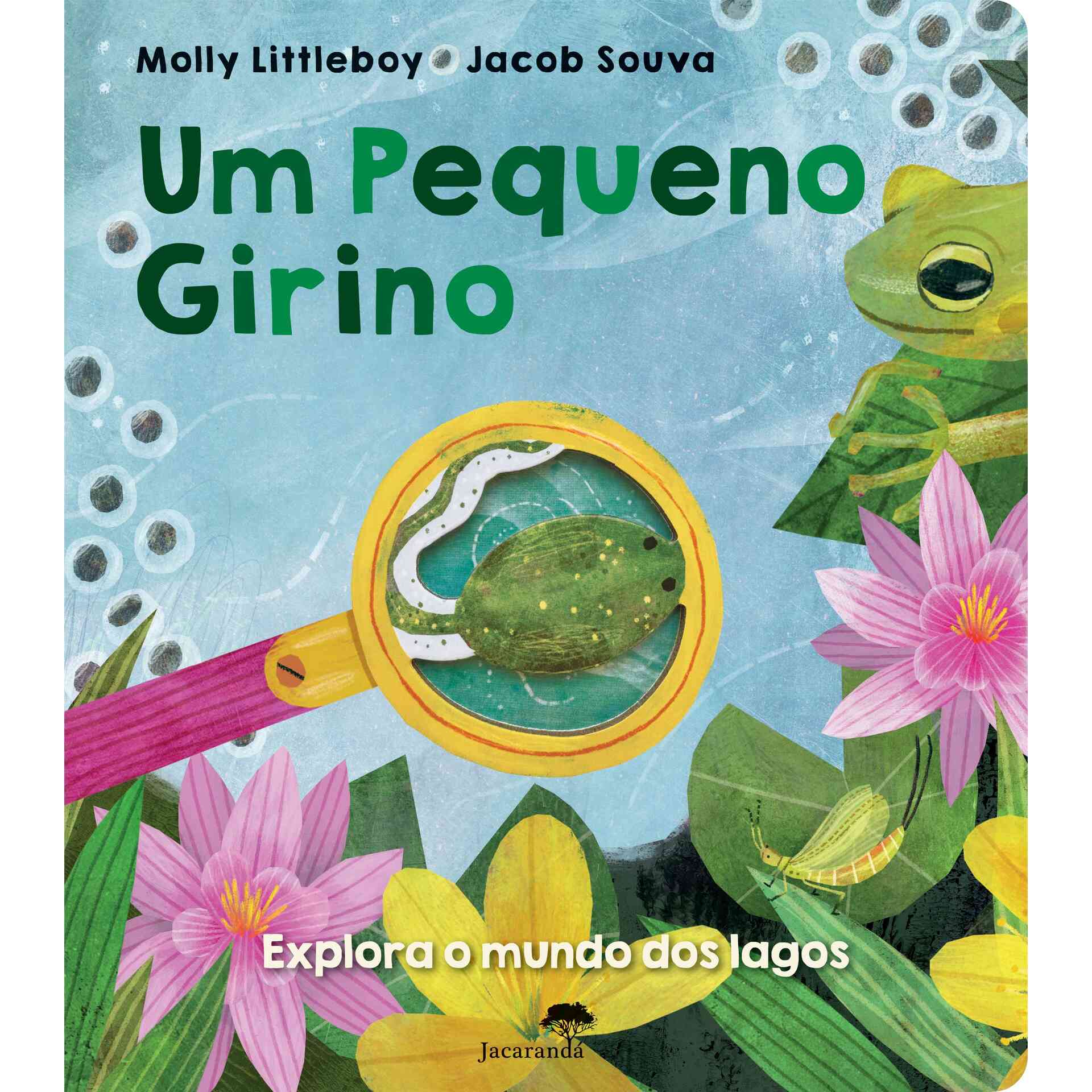 Um Pequeno Girino Molly Littleboy, Jacob Souva | Continente Online