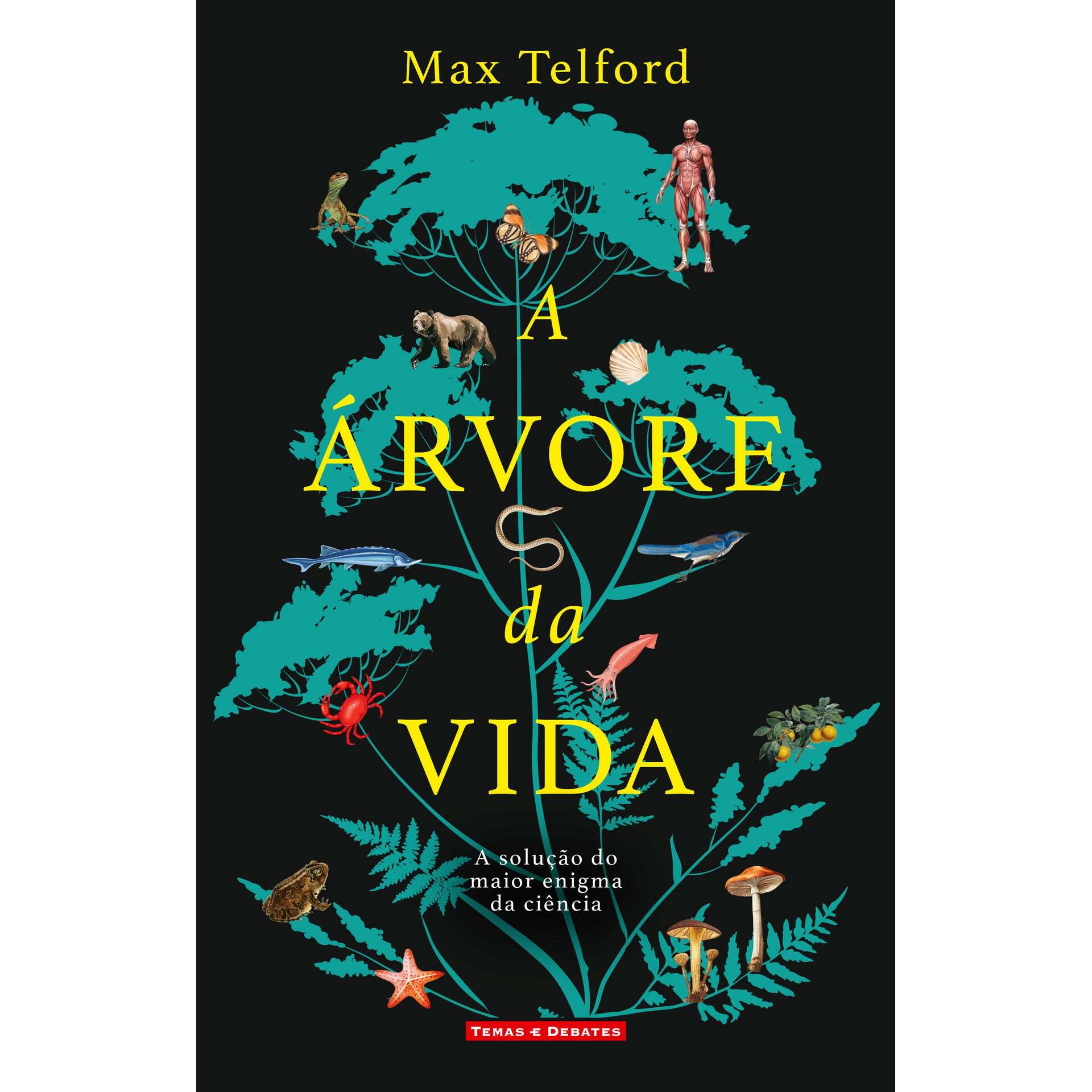 A Árvore da Vida de Max Telford | Continente Online