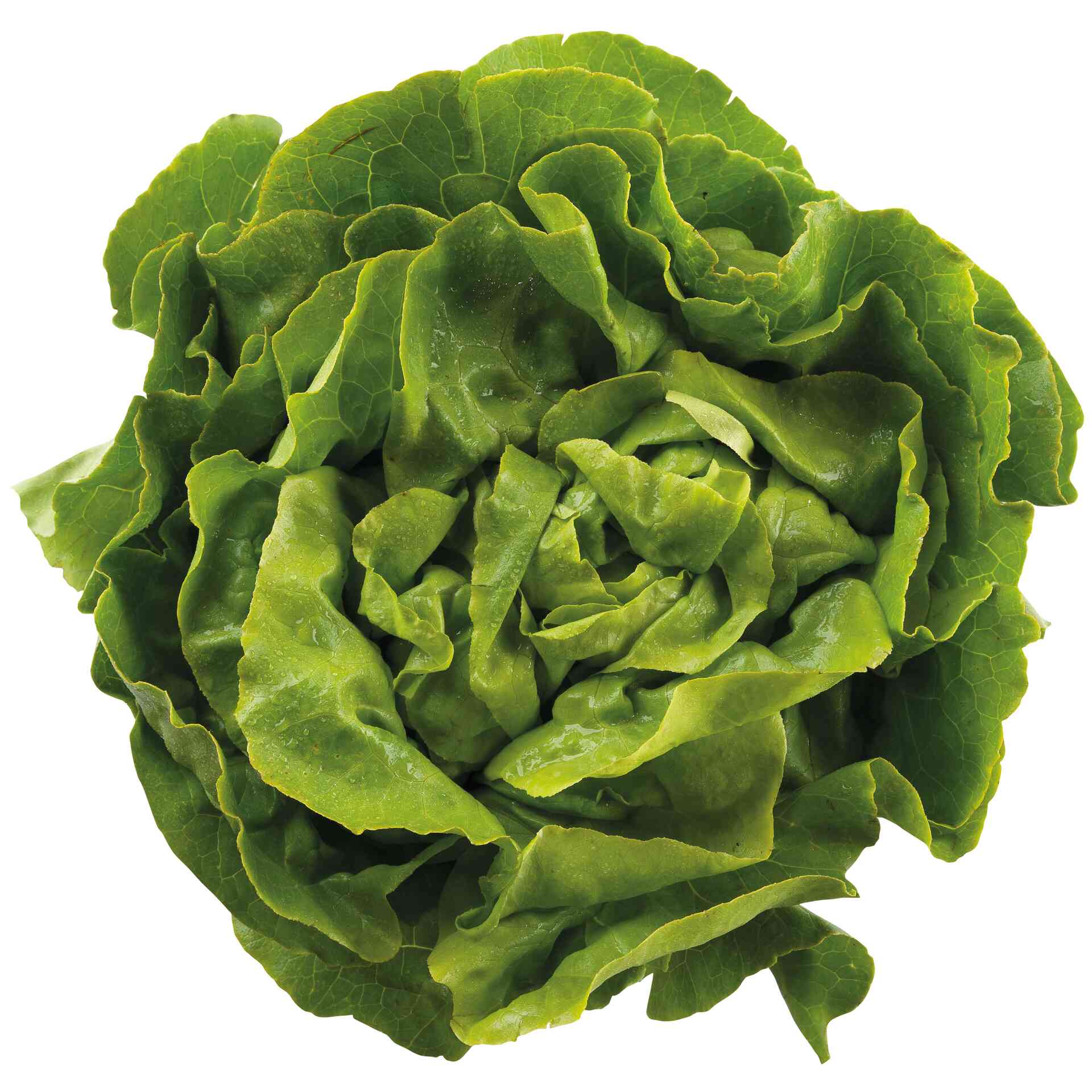 Alface Lisa Continente - emb. 200 gr | Continente Online