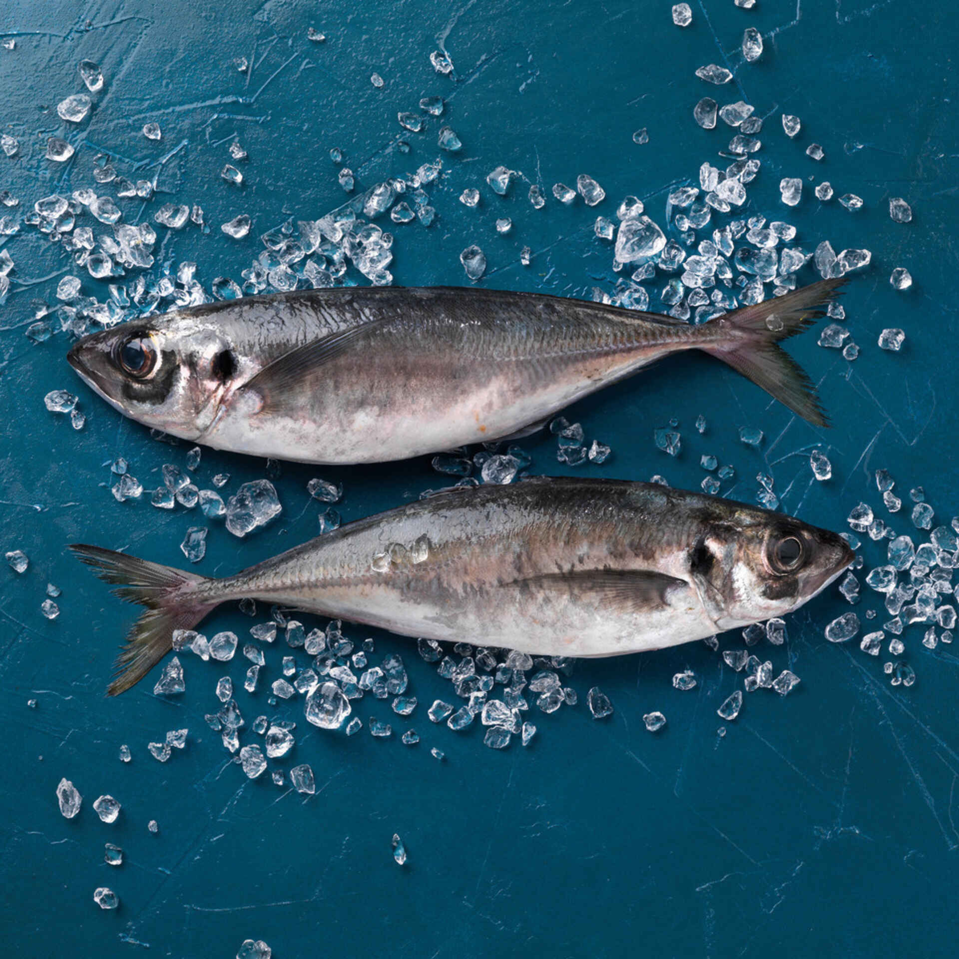 Chicharro Negrão Fresco - Quant. Mínima = 350 gr (1 un) | Continente Online