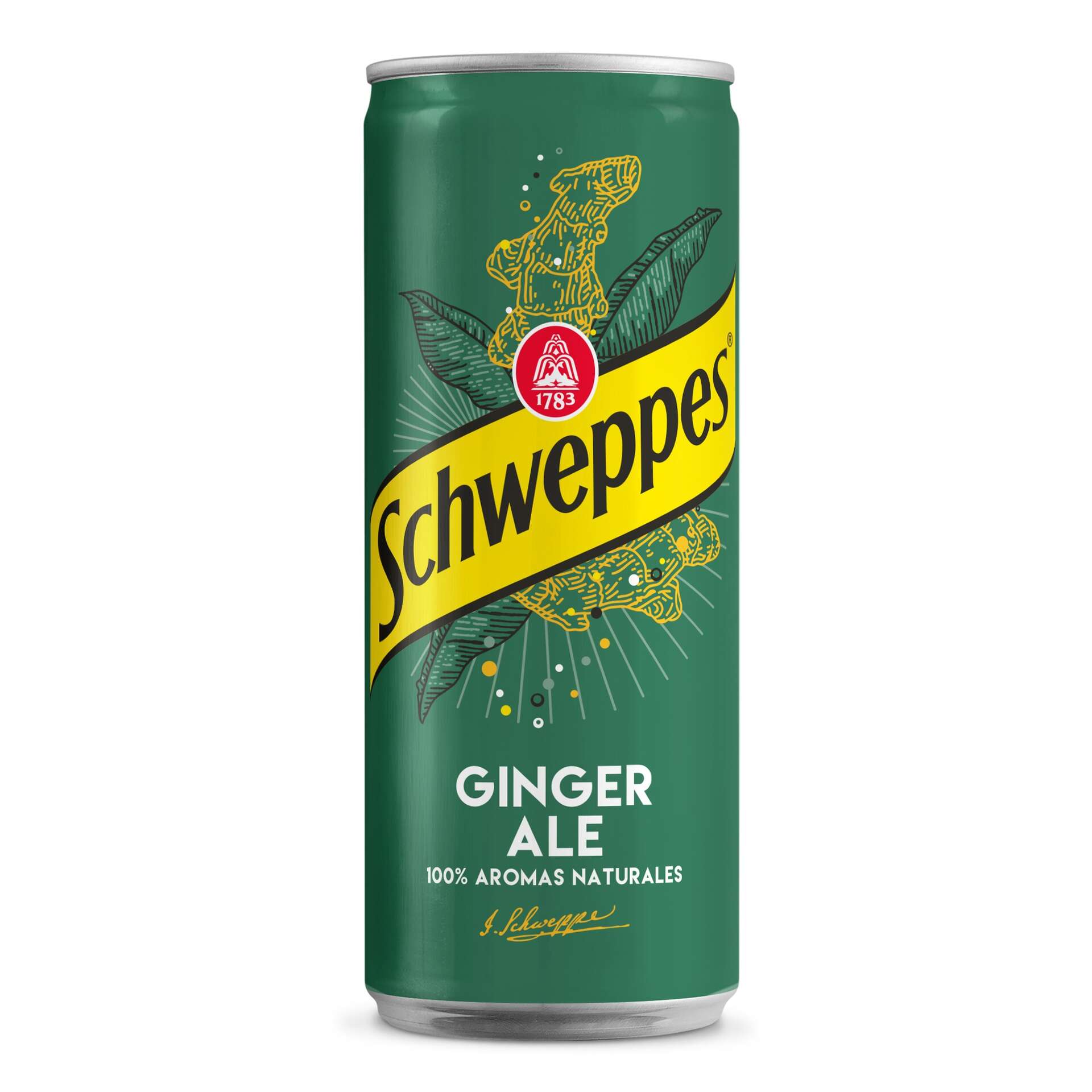 Ginger Ale Schweppes - emb. 33 cl | Continente Online
