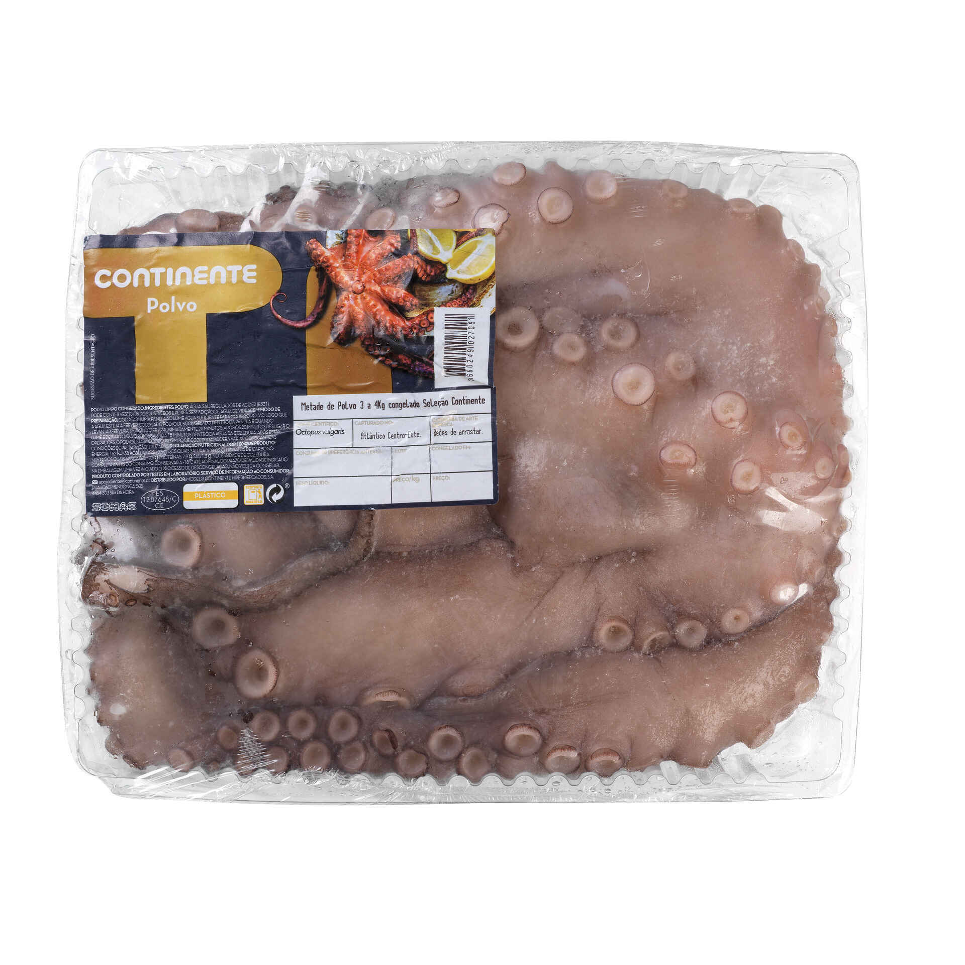 Polvo Congelado (3 a 4 kg) - Metade Continente | Continente Online