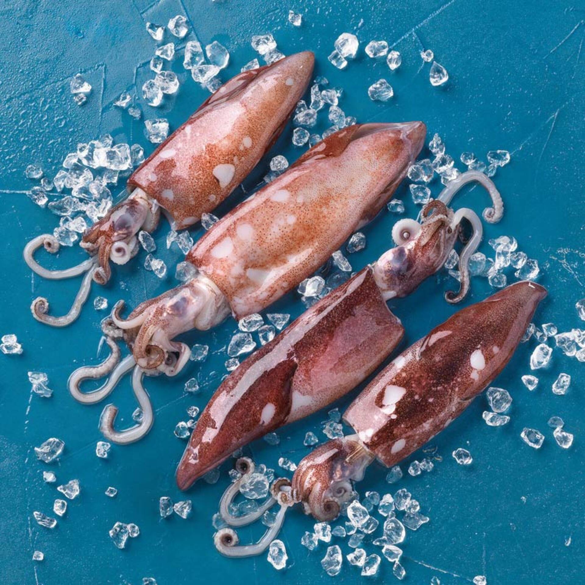 Lula Fresca - Quant. Mínima = 400 gr | Continente Online