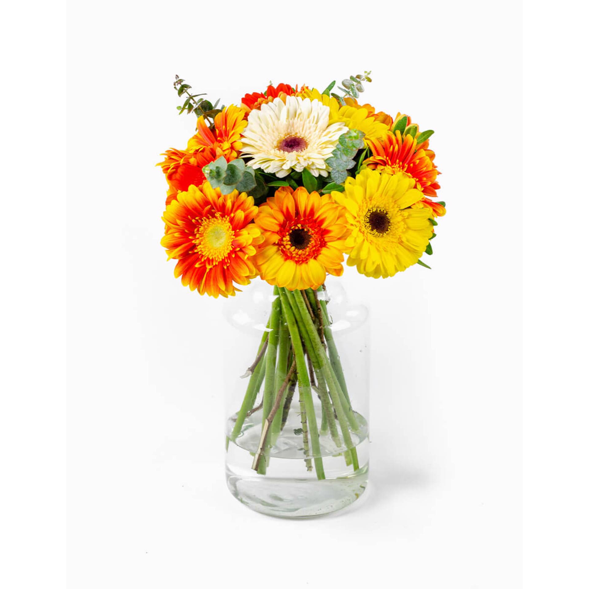 Ramo Cocktail Gerberas Laranjas Flores do Cais - 13 un | Continente Online