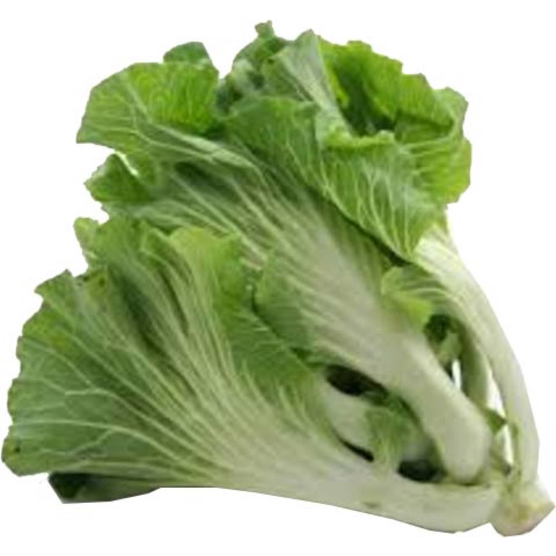 Couve Portuguesa / Penca Continente - Quant. Mínima = 1,03 kg ...