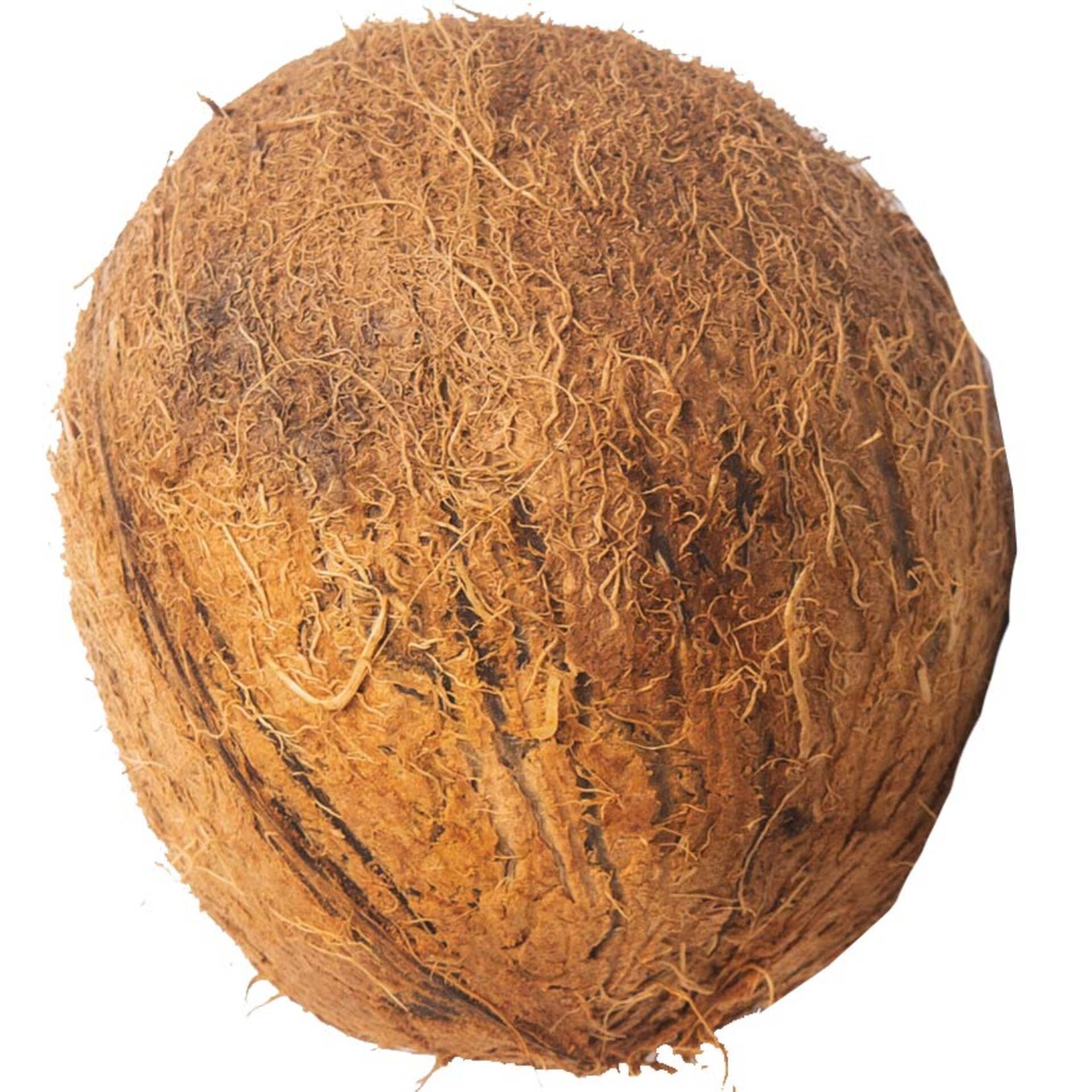 Coco Seco Continente - Quant. Mínima = 450 gr (1 un) | Continente Online