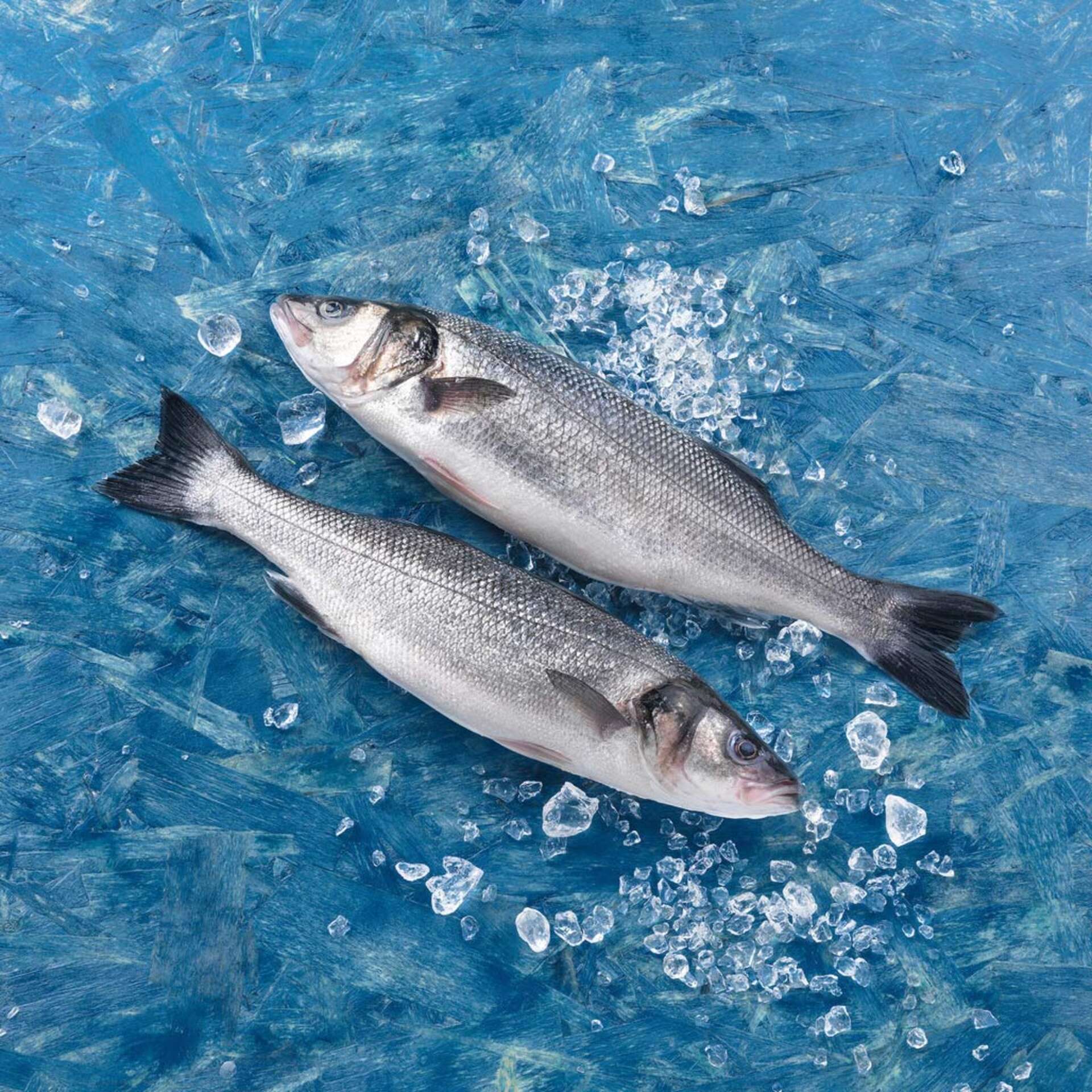 Robalo Médio Fresco Nacional - Quant. Mínima = 450 gr (1 un ...
