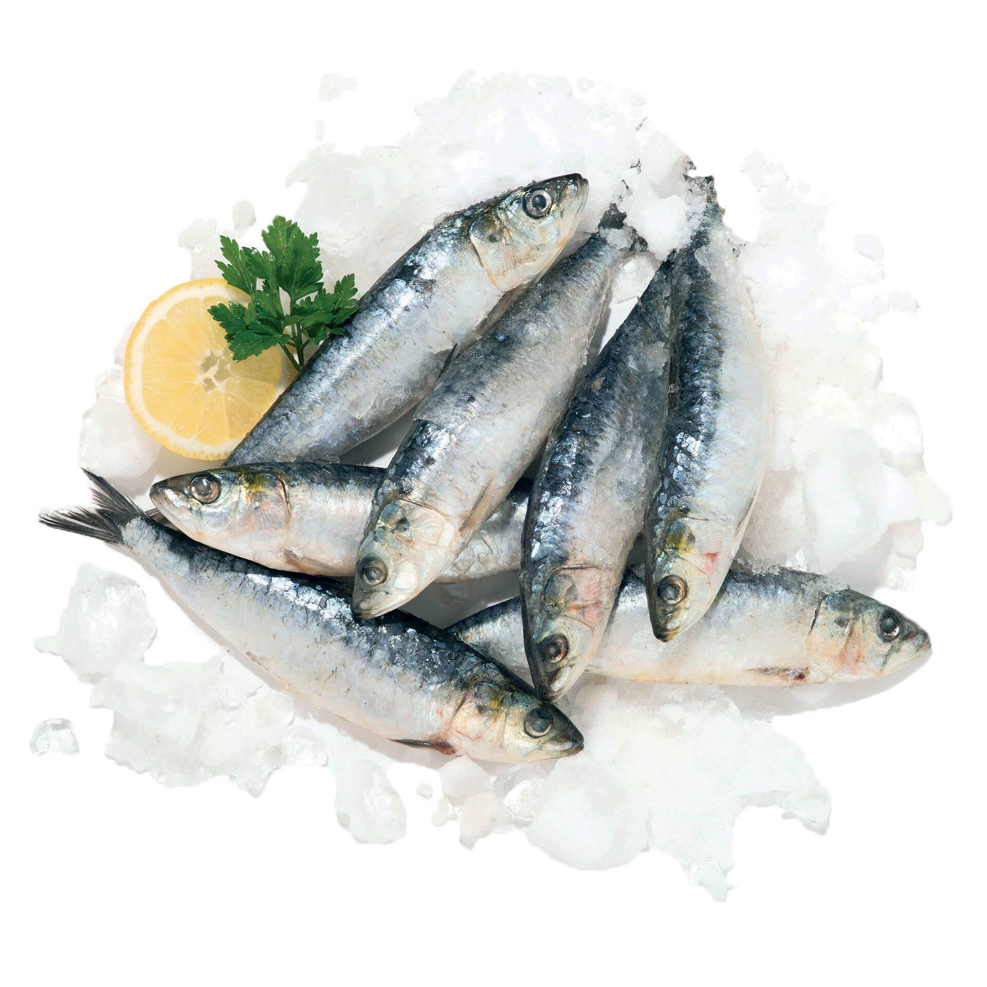 Sardinha Fresca Continente - Quant. Mínima = 540 gr (6 un) | Continente ...