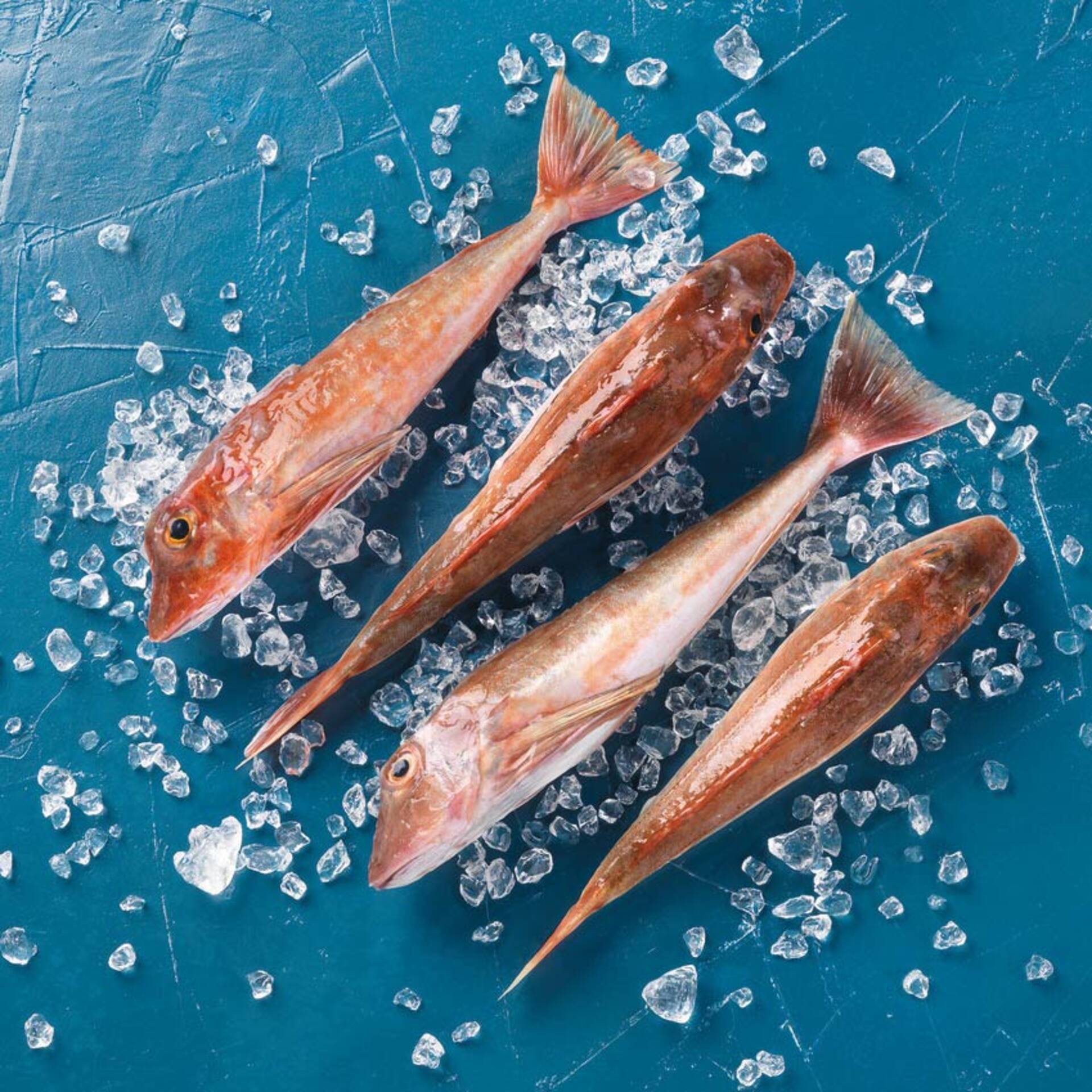 Ruivo Fresco - Quant. Mínima = 1 kg | Continente Online