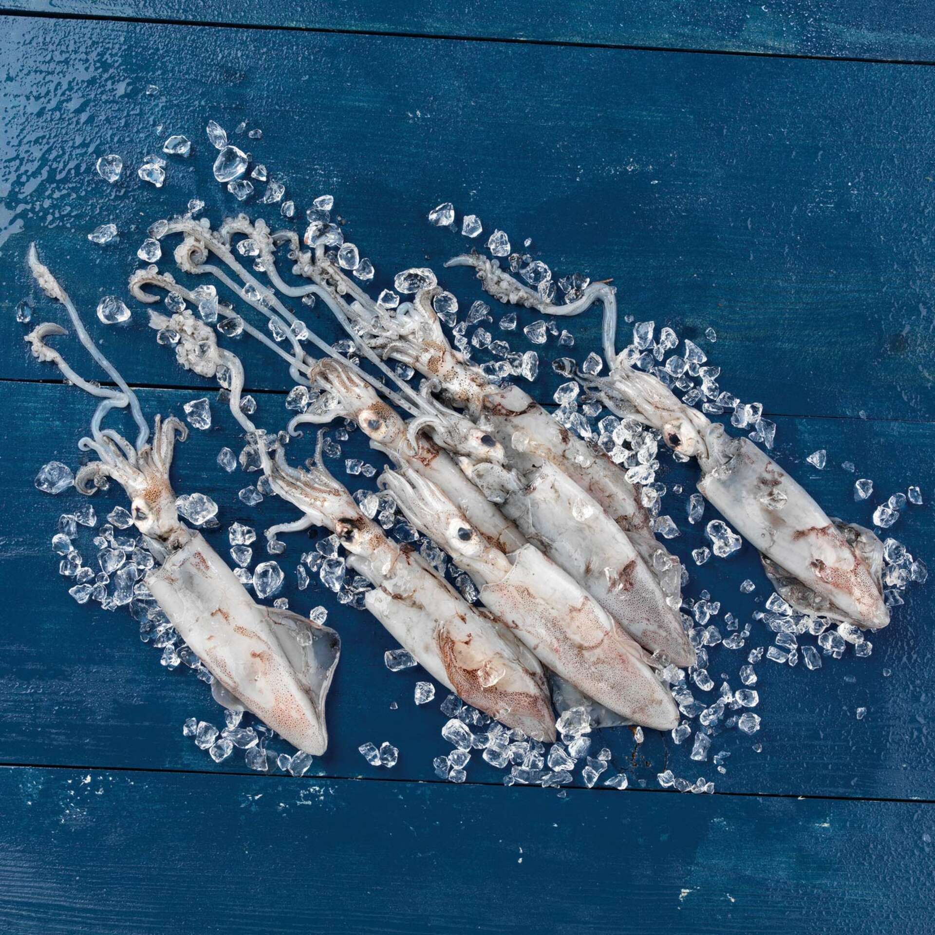 Lula Nacional Fresca - Quant. Mínima = 900 gr (3 un) | Continente Online