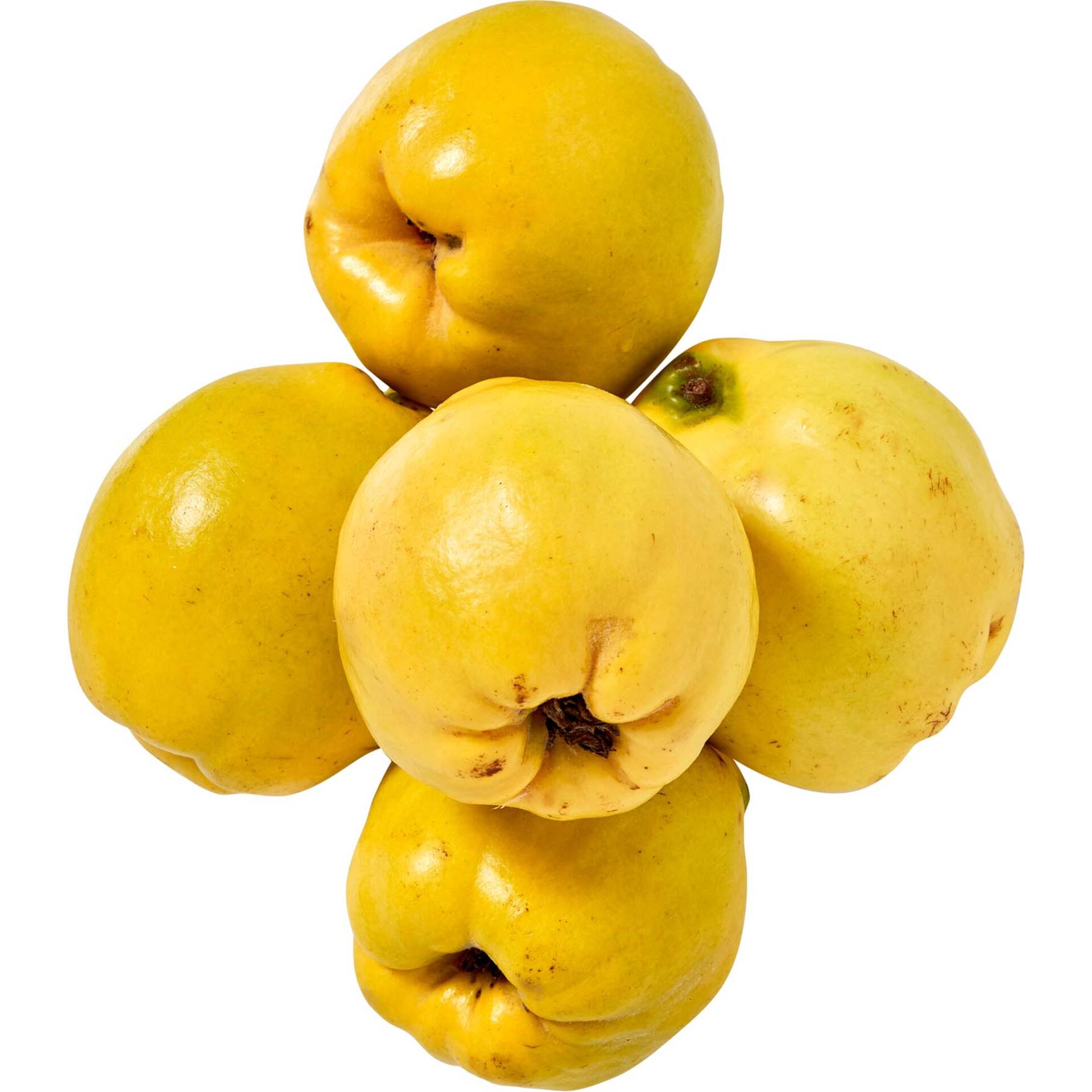 Marmelo Continente - Quant. Mínima = 580 gr (2 un) | Continente Online